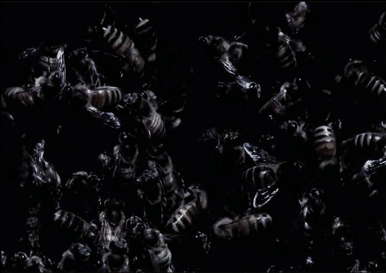 Links [devinhoran.com]